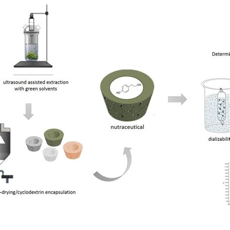 Schematic Presentation Of Investigation Design Download Scientific