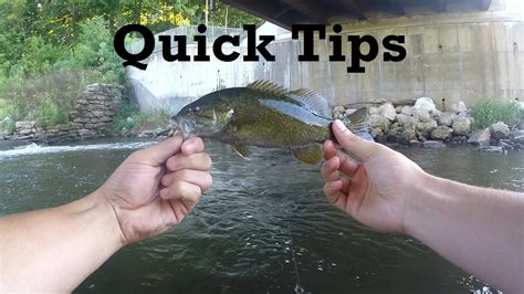 River Fishing Tips For Summer Bass Fishing Youtube