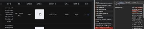【java】ruoyi vue plus oss 自定义域名【阿里云】【文件上传】 开发调优 linux do