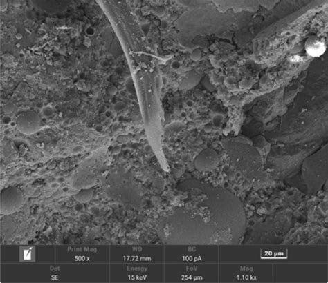 Ecc Microstructure Of Different Fine Aggregates Download Scientific