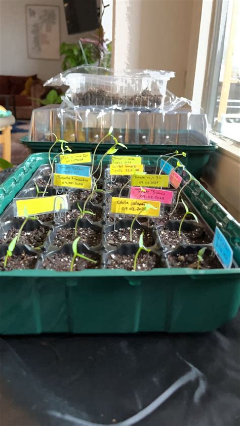 Datacake On Linkedin Datacake The Groundbreaking Iot Platform Is All About Making Complex