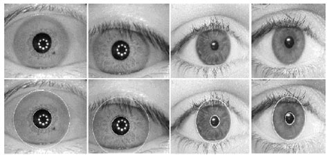 Segmentation Results From Casia And Ubiris Images Download Scientific Diagram