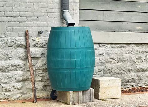 Regar Con Agua De Lluvia Las Plantas Tu Huerto Y Tu Jardín