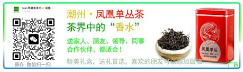 单丛茶：独特的香气与品种多样性 凤凰单丛茶网