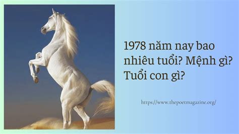 Sinh Năm 2004 Năm Nay Là Bao Nhiêu Tuổi Khám Phá Và Hiểu Rõ Tuổi Tác