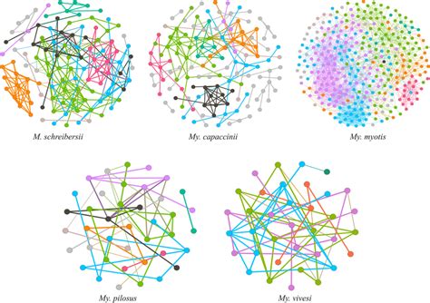 Microbial Co Occurrence Networks Of Different Bat Species The