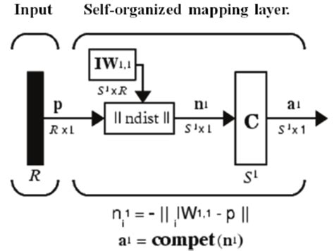General Architecture Used By The Kohonen Model Of Somf Matlab Download Scientific Diagram
