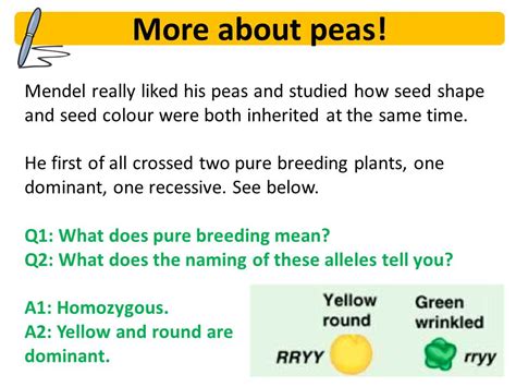 Aqa A Level Biology 37 Genetics 2 Teaching Resources