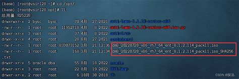 Linux系统下安装达梦8数据库达梦8linux安装 Csdn博客