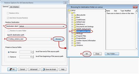Restore File System Restore Enabler
