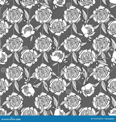 Seamless Pattern With Peony Flowers Nature Floral Background Stock Photo Image Of Flower