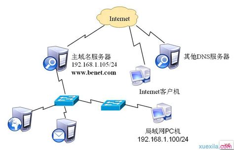 Linux 启动dns服务器linux怎么搭建dns服务器 Csdn博客