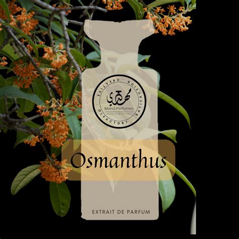 Osmanthus Mahdiperfumes