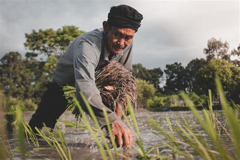 Agrarian Reform