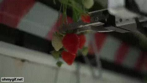 Techtrends Robotics Wearable Tech And Iot On Linkedin Iot