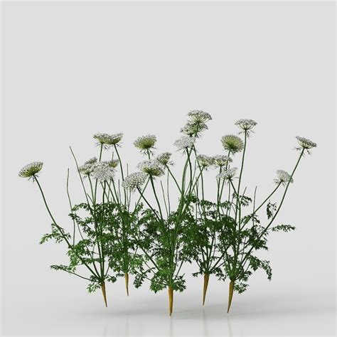 Colorful Plant Vegetable Plot 3d Model Free