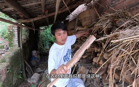 老家河里的鱼还是多呀，一会儿就钓几斤，跟朋友煮一锅红烧鱼吃的很爽 爱钓鱼的陈俊哥 爱钓鱼的陈俊哥 哔哩哔哩视频