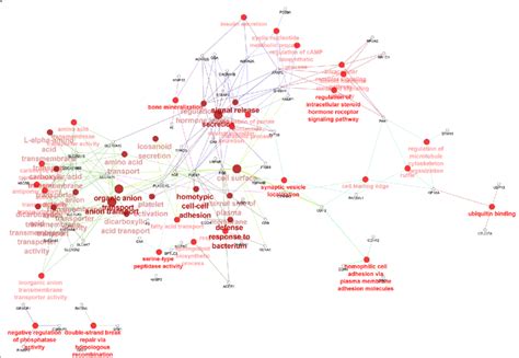 network representation of the enriched go terms and their associated