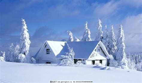 瑞雪胶囊 金汉方瑞雪胶囊騙局 随意云