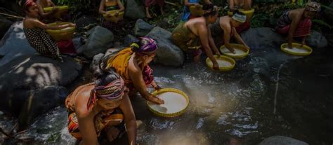 5 Rahasia Tersembunyi Air Cucian Beras Jangan Dianggap Remeh Berikut