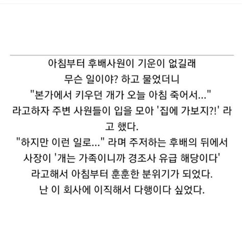 나중에 진짜 이런 배려해주는 회사 들어가고 싶어 링커리어 커뮤니티
