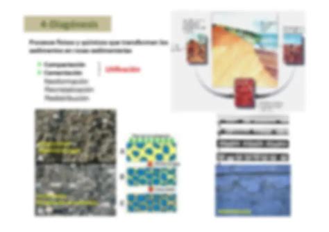 Rocas Sedimentarias De Geología Apuntes De Geología Docsity