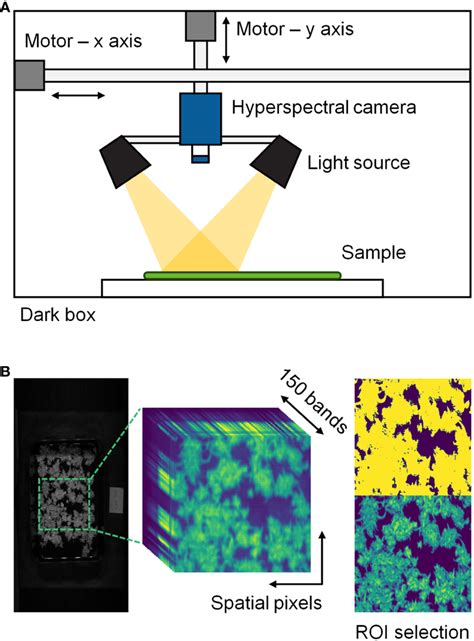 Hyperspectral Imaging System A And Description Of Hyperspectral Data Download Scientific