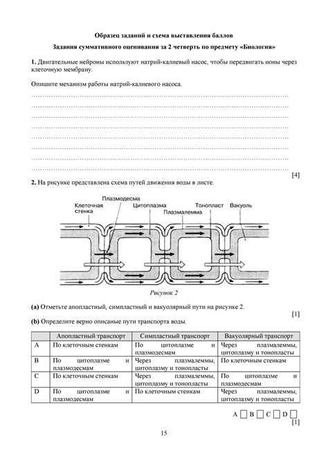 СОЧ Биология ОГН 11 класс 2 четверть СКУЛХАК