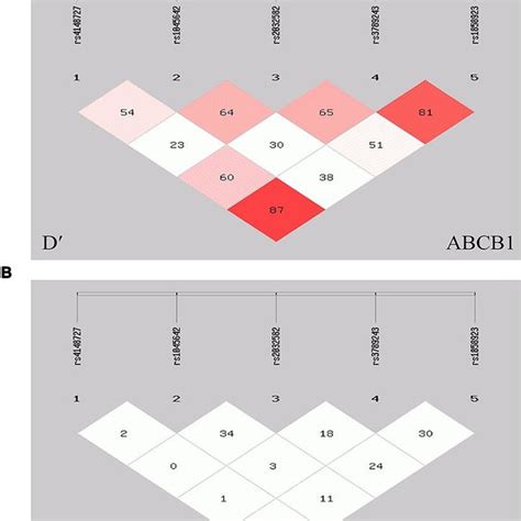 Linkage Disequilibrium Plot And R 2 Values For Five Polymorphisms Of