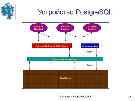 Ppt Что нового в Postgresql 83 Powerpoint Presentation Free