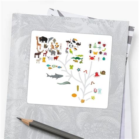 Evolution From Unicellular Organisms To Mammals