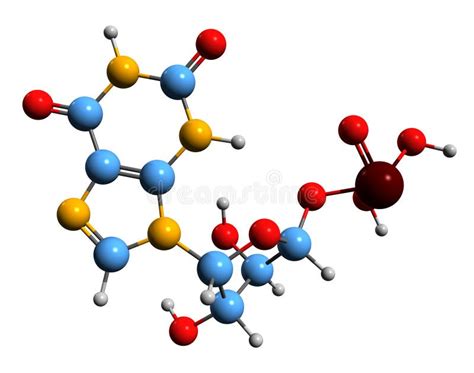 Xanthosine 5 Phosphate