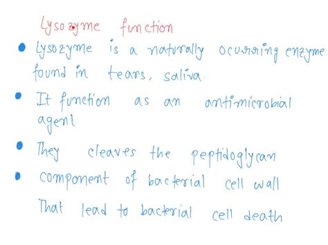 Solved Synapses Are Question 14 Options A Where Neurons Make