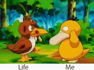 Psyduck Anime Amino
