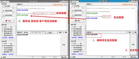 一文讲明 网络调试助手的基本使用 Netassist Csdn博客