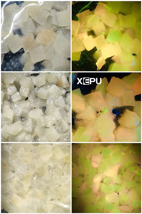 荧光检测灯：快速筛选果汁果丁里的果蝇幼虫 上海析浦科学仪器有限公司