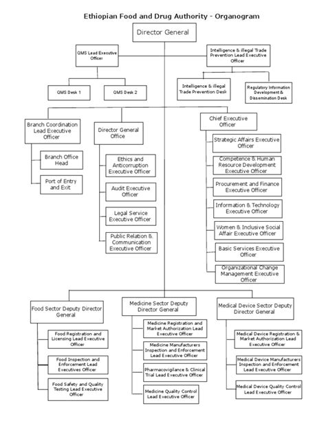 Efda Organogram English Version Pdf Medical Device Medicine