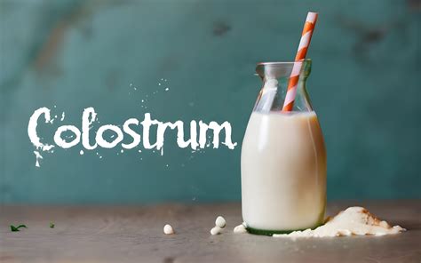 Colostrum Whealthy Group Your Health Is Your Wealth
