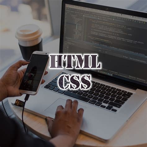 HTML CSS Technik Programista