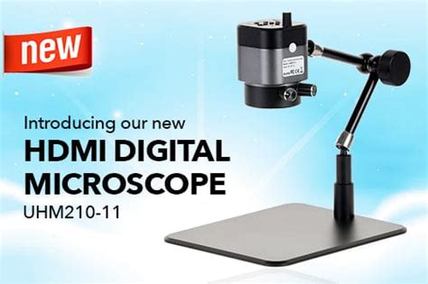4 Microscope Slide Mounting Techniques For Beginners Amscope