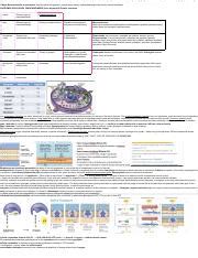 Understanding Macromolecules And Cell Structures Course Hero