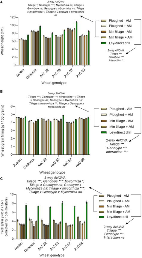 FIGURE Cultivation and genotype eeects on wheat yields from mmmm... | Download Scientific Diagram