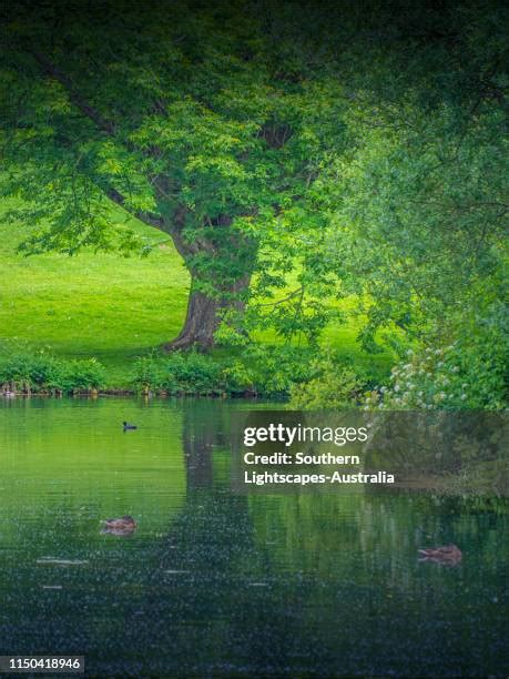 River Piddle Photos And Premium High Res Pictures Getty Images