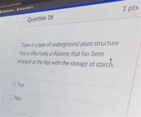 Solved Tuber Is A Type Of Widerground Plant Structure That