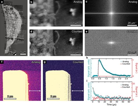 Temporal Response Of Analog Vs Pulse Counted Imaging A Montage Adf Download Scientific Diagram