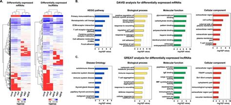 Hierarchical Clustering And Functional Enrichment Analysis For
