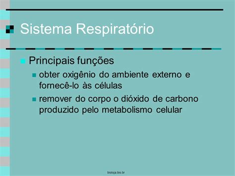 Object Object Bioloja