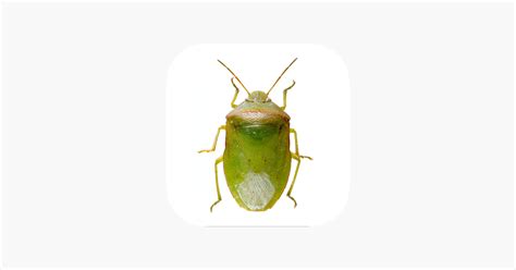 ‎se Agricultural Stink Bug Id On The App Store