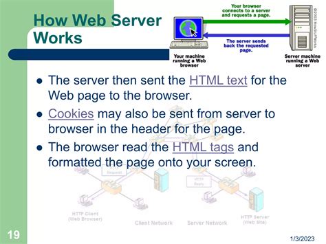 basic web concepts ppt