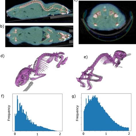 Results Of Rigid Registration Of Phantom Imaged In The Siemens Inveon